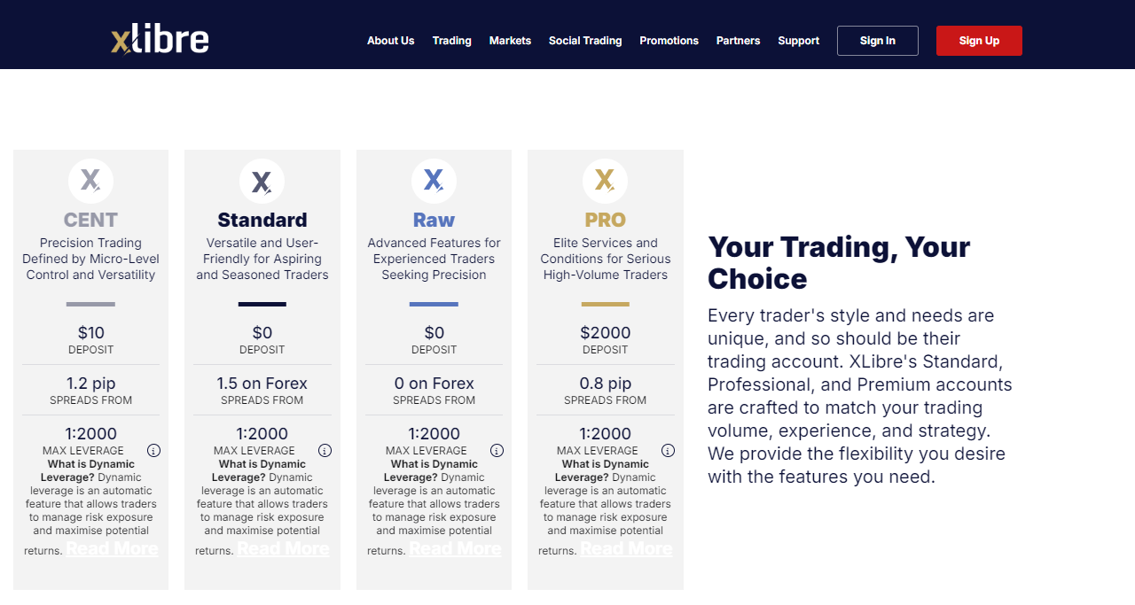 XLibre Review – ☑️ Pros and Cons (Updated 2025*)